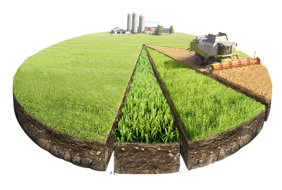 The best way to own land & earn online - Jazã & Sakeenah